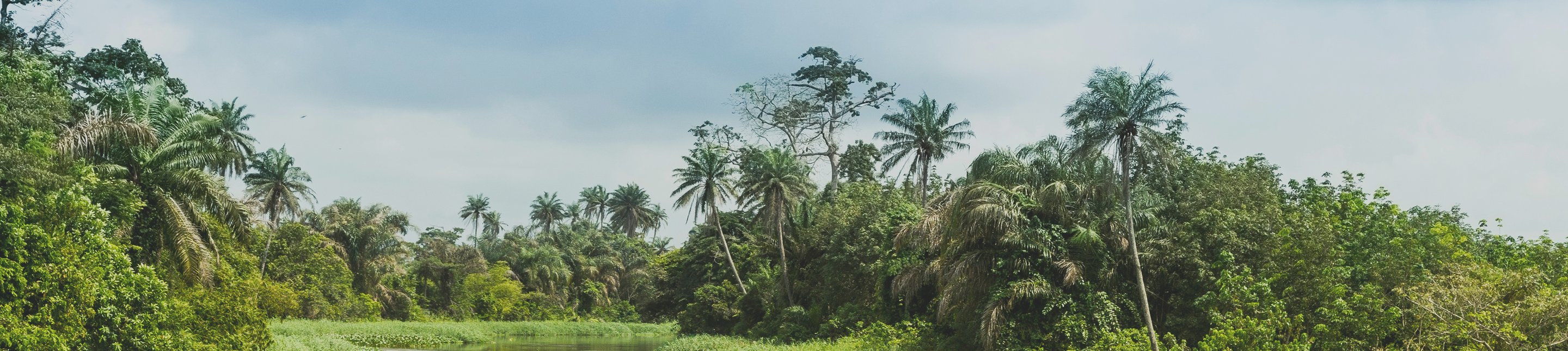 Abidjan : Climat, Températures et Météo. Les meilleures périodes