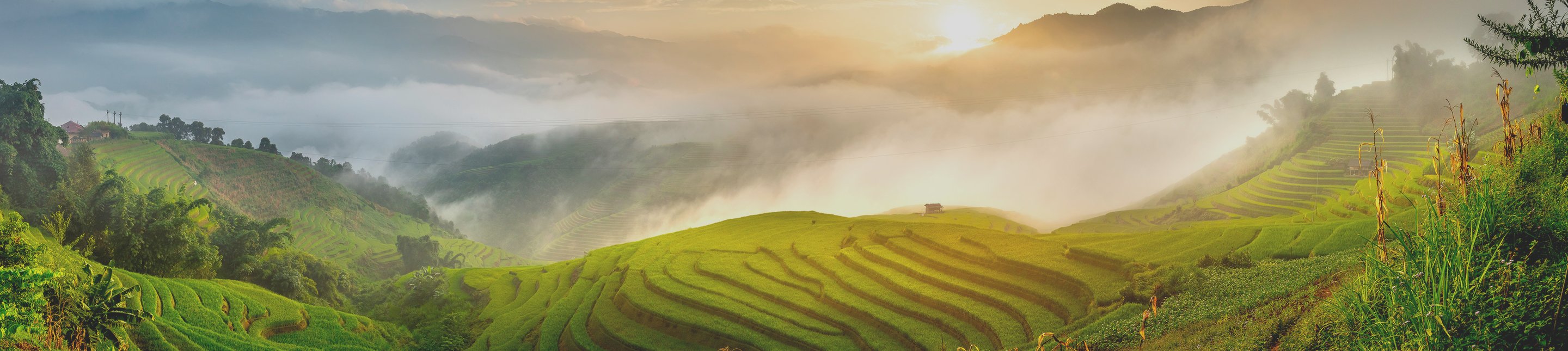 Vietnam Découverte, l'avis de partir.com sur cette agence de voyages