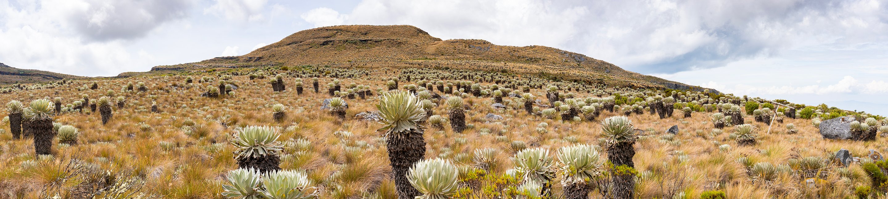Le TOP 12 des Lieux à Voir en Colombie | Que Faire