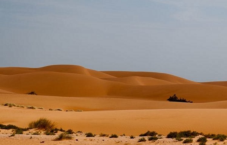 Partir en Mauritanie : votre guide de voyage sur mesure