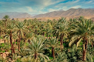 Le Top 15 des Sites à Voir au Maroc. Que Voir | Que Faire