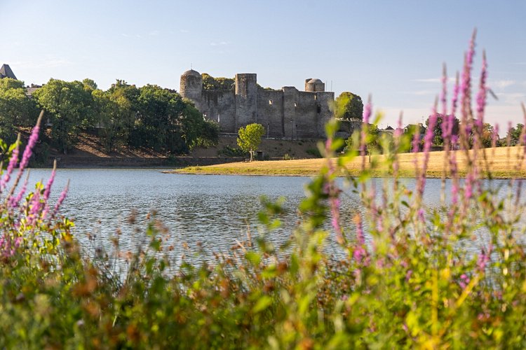 Top 8 des Châteaux d'Anjou | Que visiter