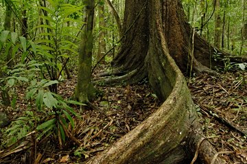 Que voir au Panama ? | Notre TOP 14 des plus beaux lieux à visiter