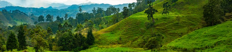 Terra Colombia, l'avis de partir.com sur cette agence de voyages