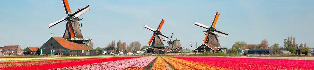 Le TOP 10 des Lieux à Voir aux Pays-Bas | Que Faire