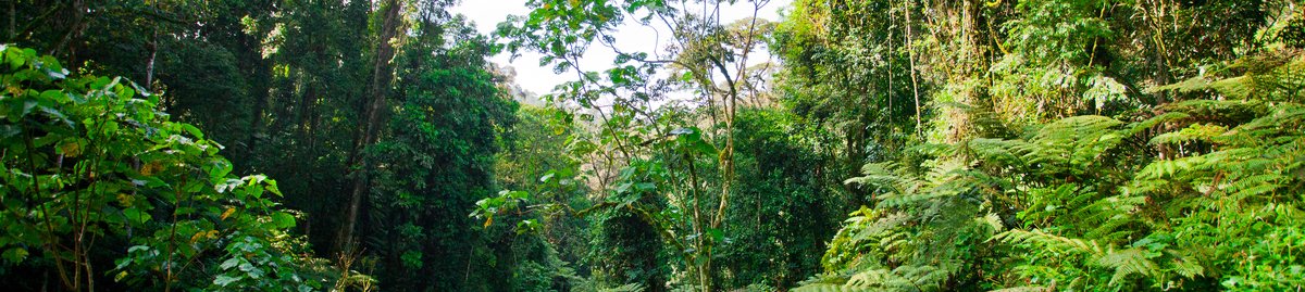 Que Voir en République du Congo ? | Les 10 Plus Beaux Lieux à Visiter