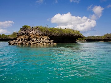 Le TOP 8 des lieux à voir aux Seychelles. Que voir | Que visiter