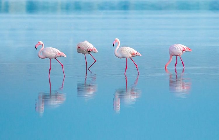 Partir à Chypre : votre guide de voyage sur mesure