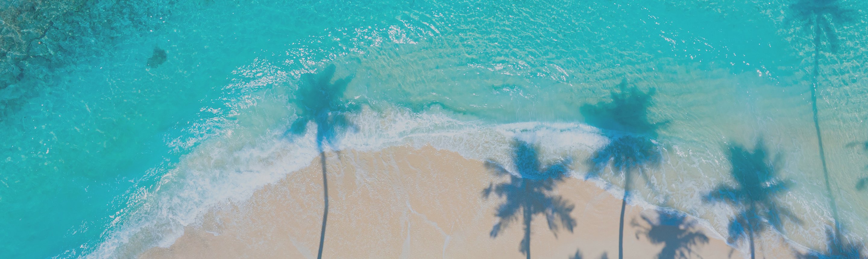 Cartes et Plans Touristiques de la Martinique