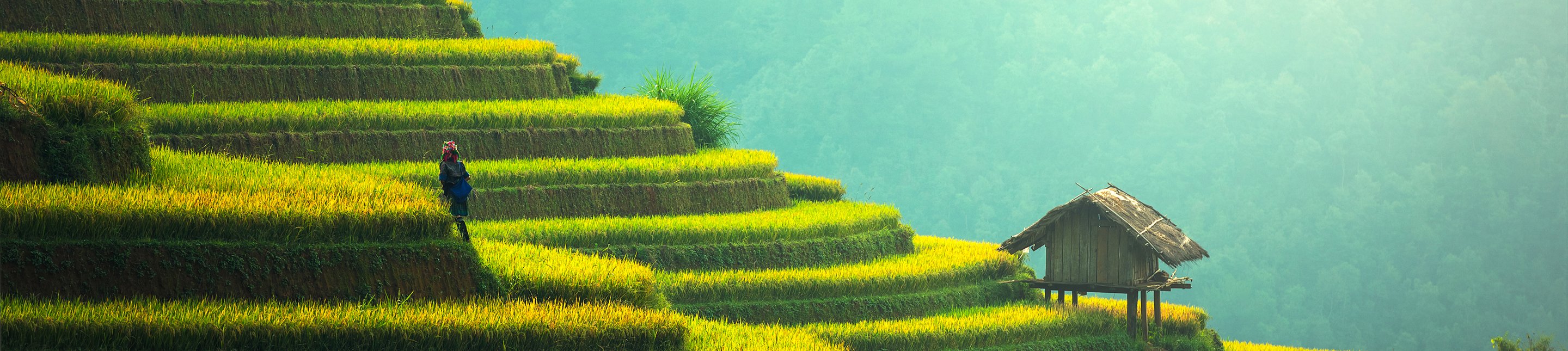 Authentik Vietnam, l'avis de partir.com sur cette agence de voyages