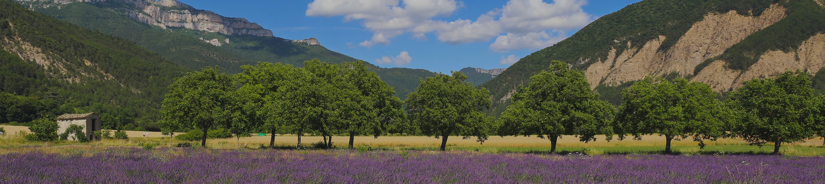 Que Faire dans la Drôme ? Notre Sélection des Plus Beaux Endroits à Voir
