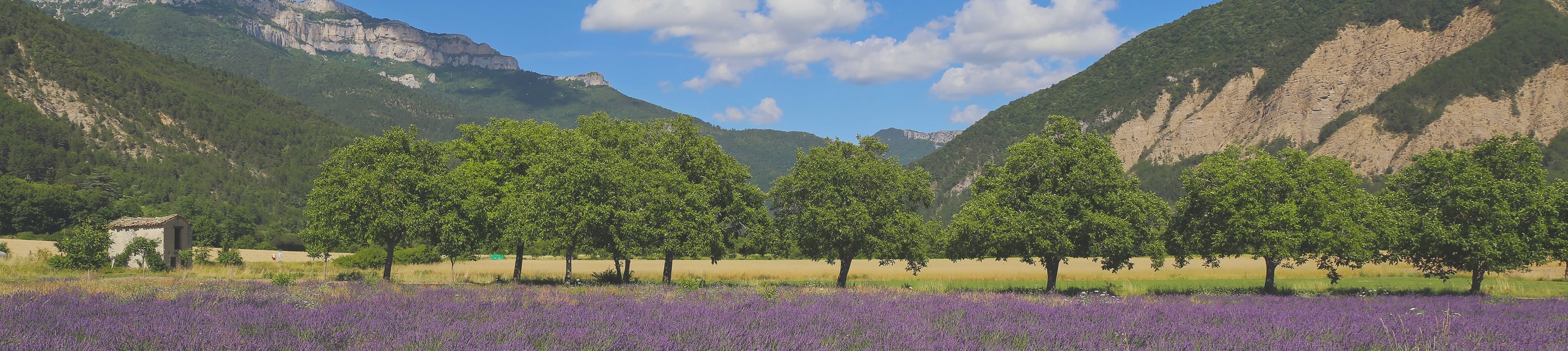 Vos vacances en Drôme. Tourisme, où aller ? Que voir ? Tout savoir