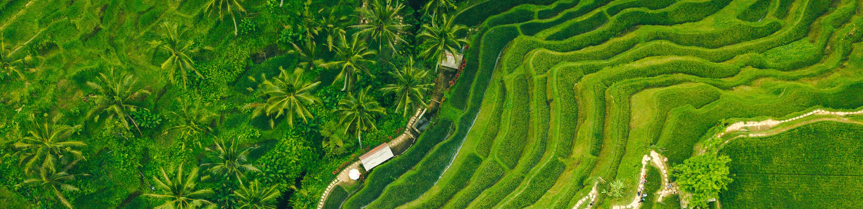 quand-partir-bali-climat-temp-ratures-et-m-t-o