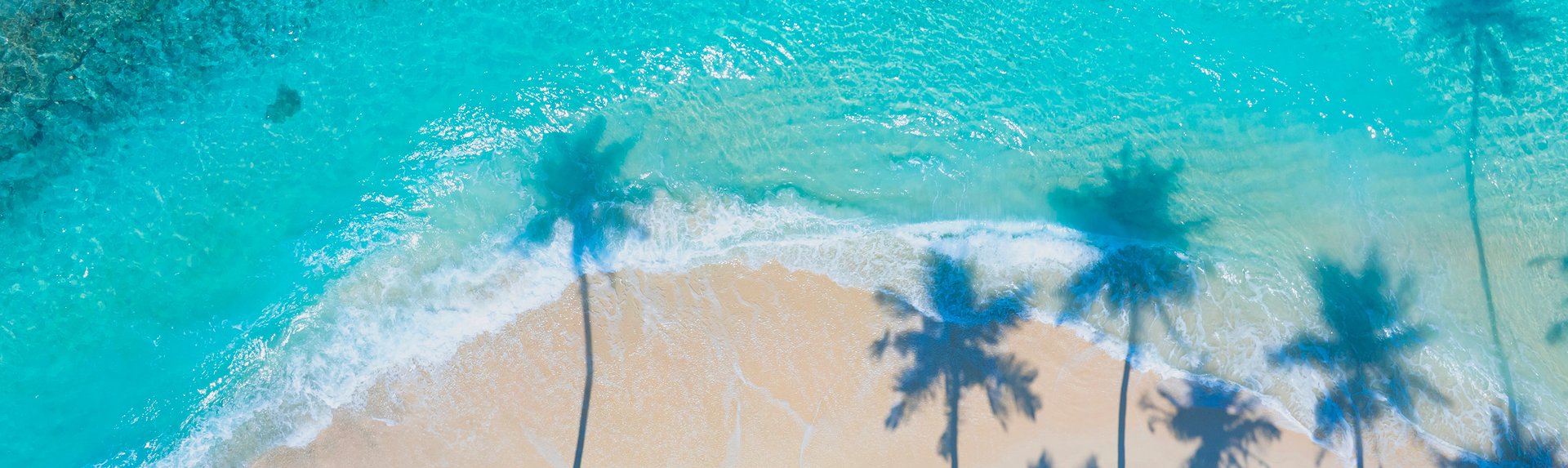 Météo en Martinique en août : avis, température, climat et affluence Météo en Martinique en août : avis, température, climat et affluence