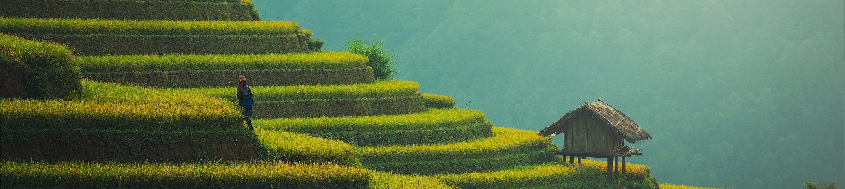 Authentik Vietnam, l'avis de partir.com sur cette agence de voyages