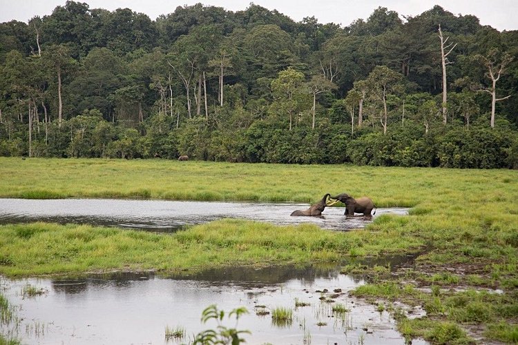 Que Voir en République du Congo ? | Les 10 Plus Beaux Lieux à Visiter