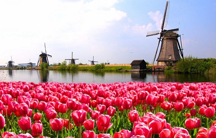 Partir au Pays-Bas : votre guide de voyage sur mesure