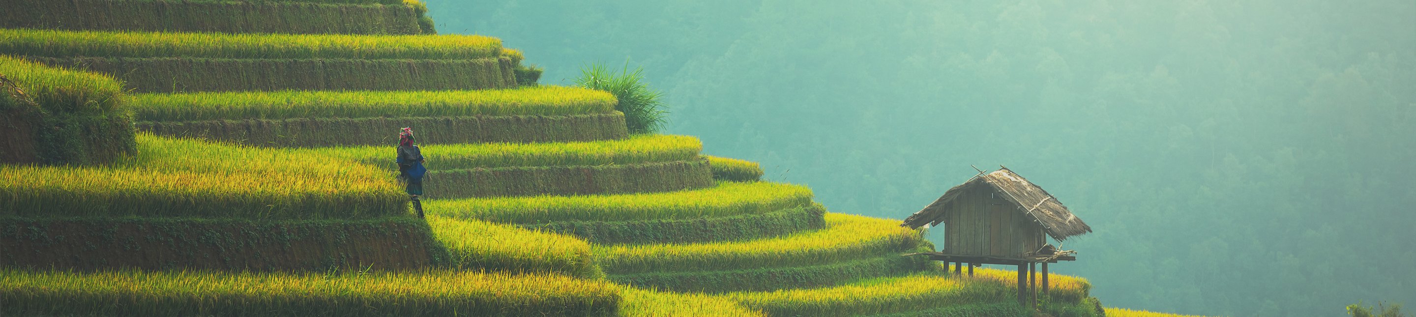 Authentik Vietnam, l'avis de partir.com sur cette agence de voyages