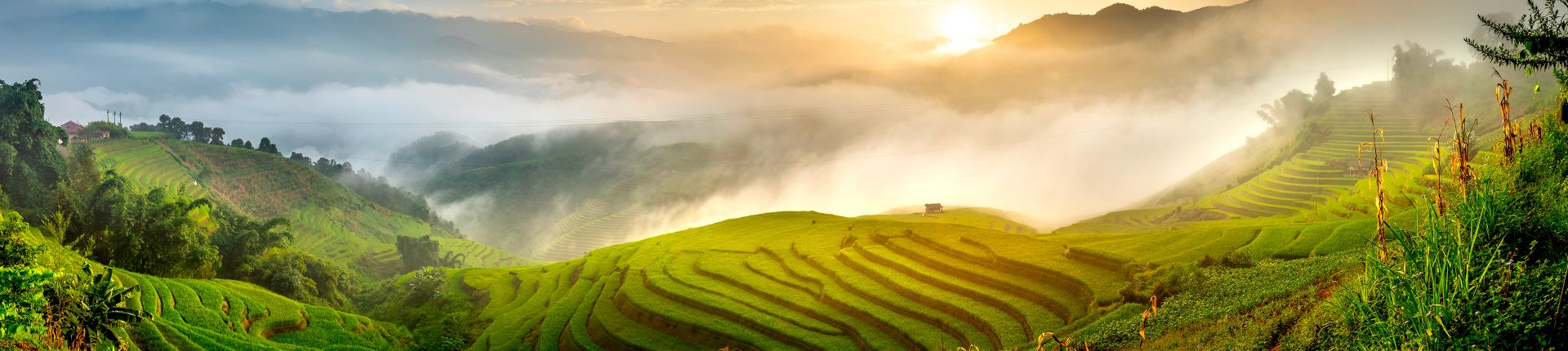 Vietnam Découverte, l'avis de partir.com sur cette agence de voyages