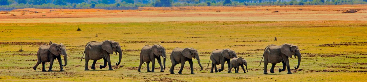 TOP 13 des Plus Beaux Endroits à Voir en Afrique du Sud | Que Faire